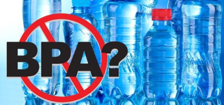 ¿Es el polipropileno libre de bpa y seguro?